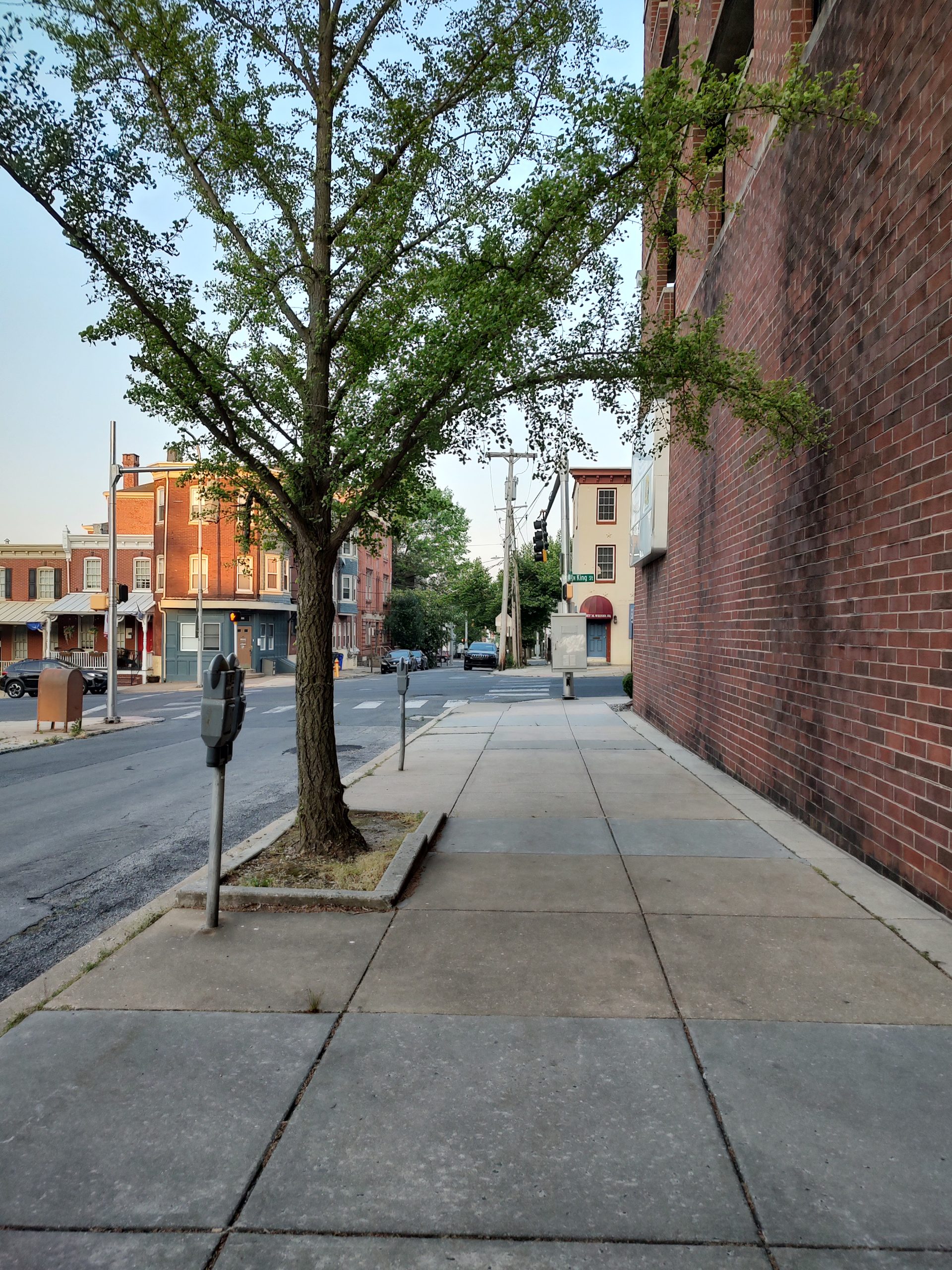 Sustainable Cities and Communities - American Vegan Society